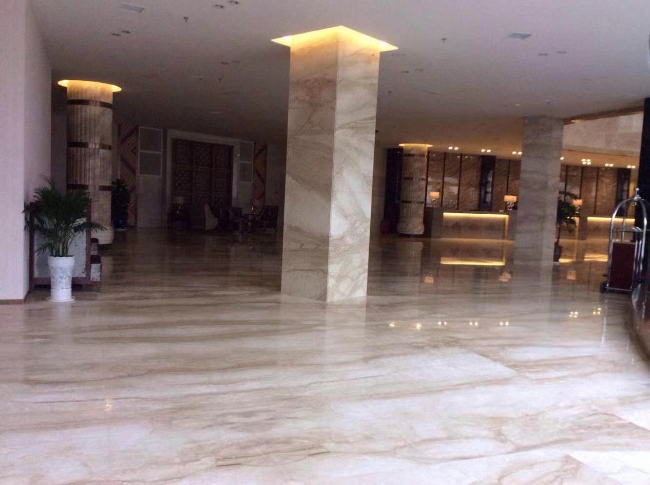 Dino Beige - TCS Marble